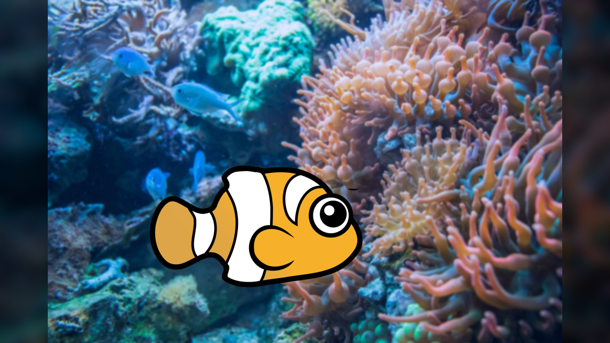Scubadorable's Clown Anemonefish Fun Facts for Kids