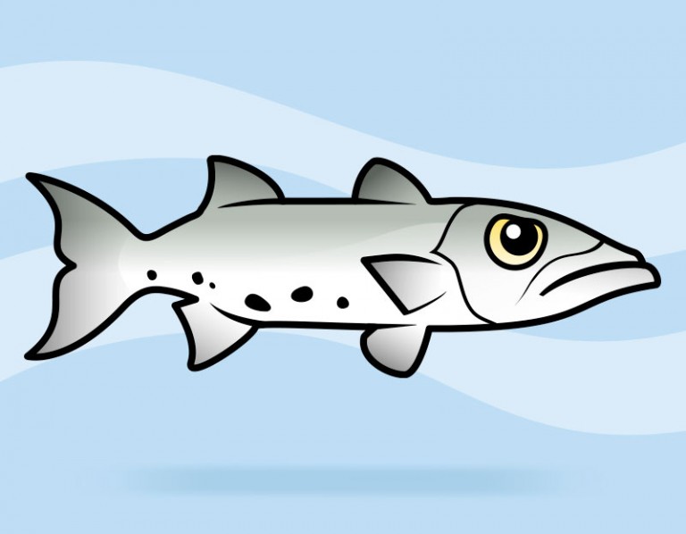 Cute Cartoon Great Barracuda by Scubadorable