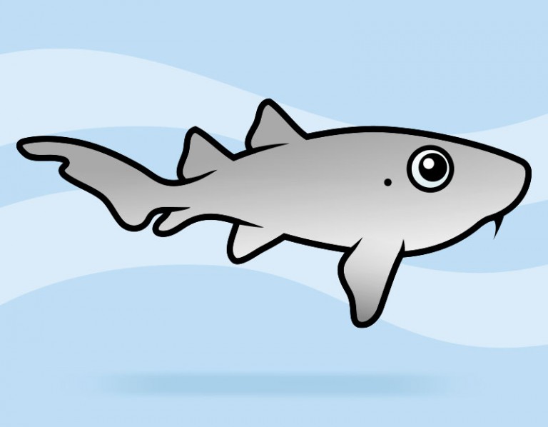 Cute Cartoon Nurse Shark by Scubadorable