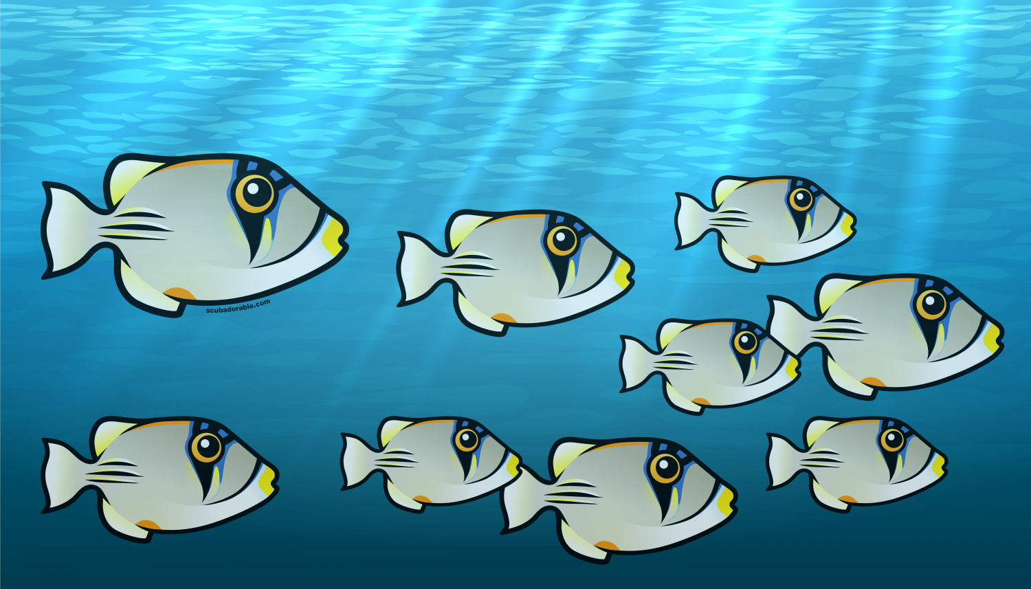 Fun Facts About the Arabian Picassofish | Scubadorable