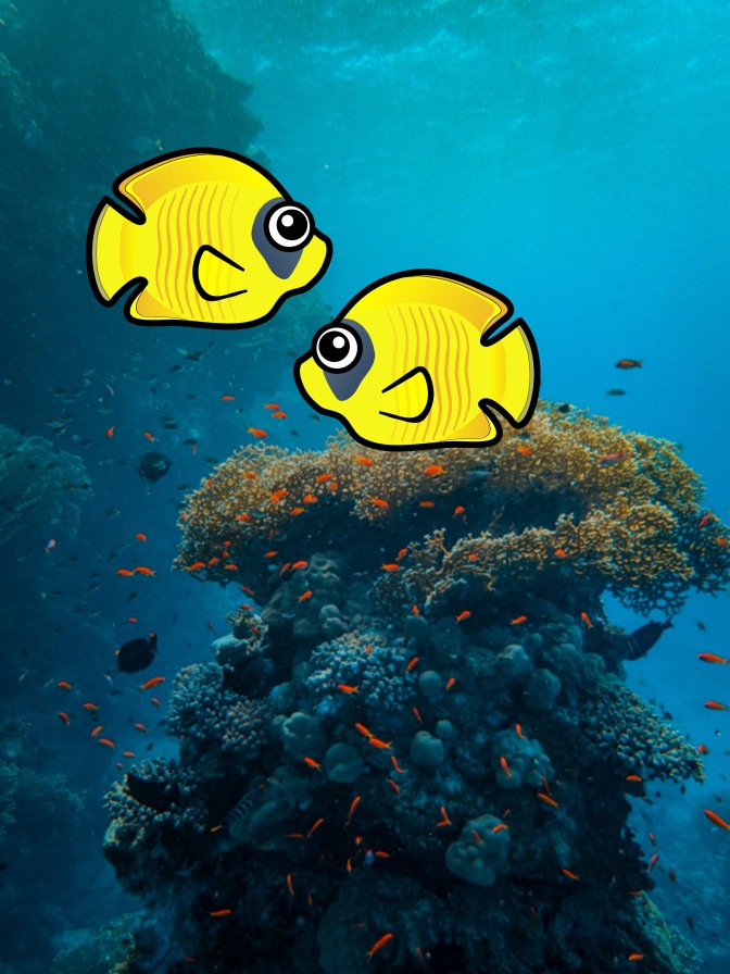 Butterflyfish Family: Fun Fish Facts About Butterflyfish